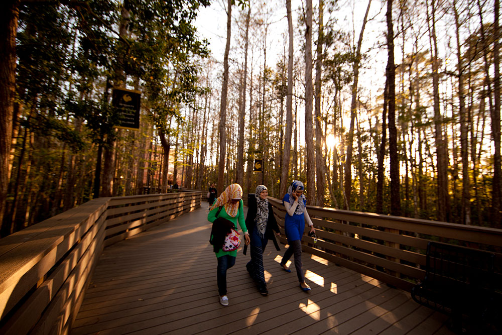 About Title IX at UCF - UCF Let's Be Clear