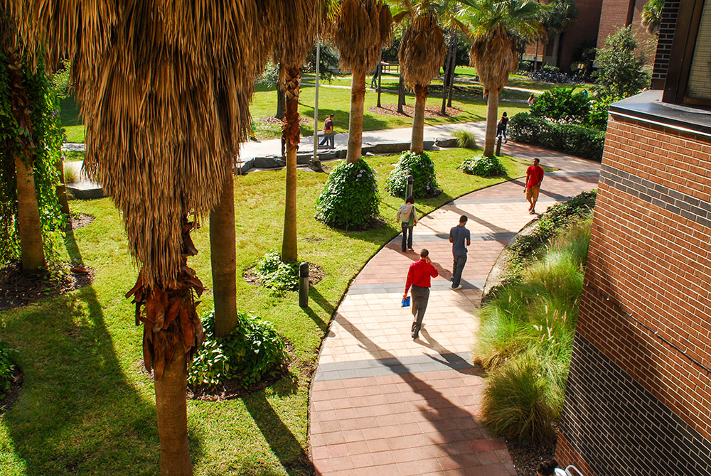 Learn More - UCF Let's Be Clear